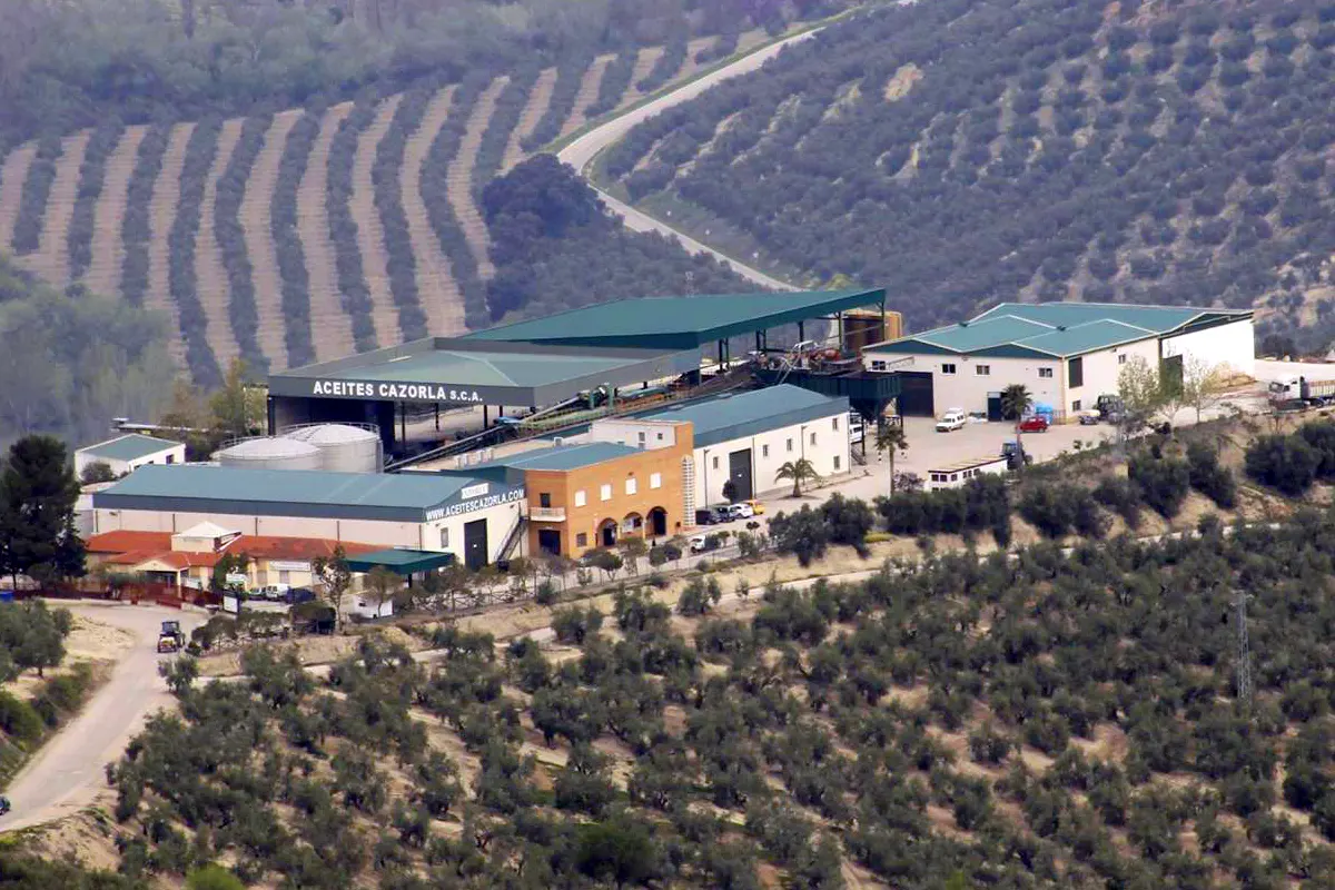 Aceites Cazorla SCA - Tiempo de olivos